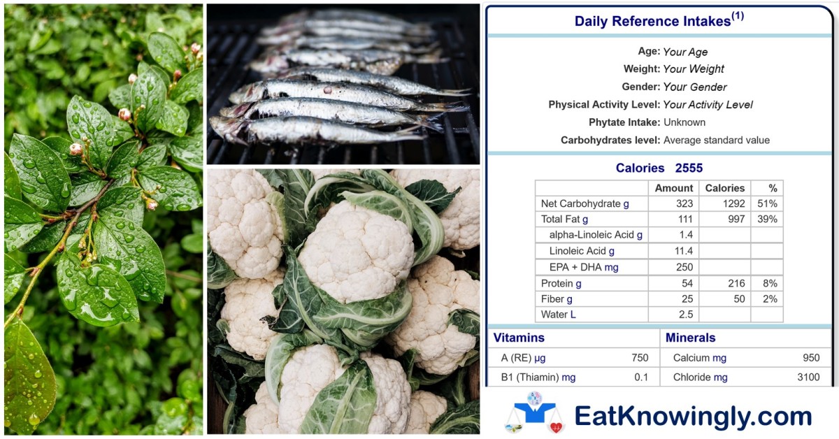 Daily Reference Intakes | Your nutrient needs based on your conditions